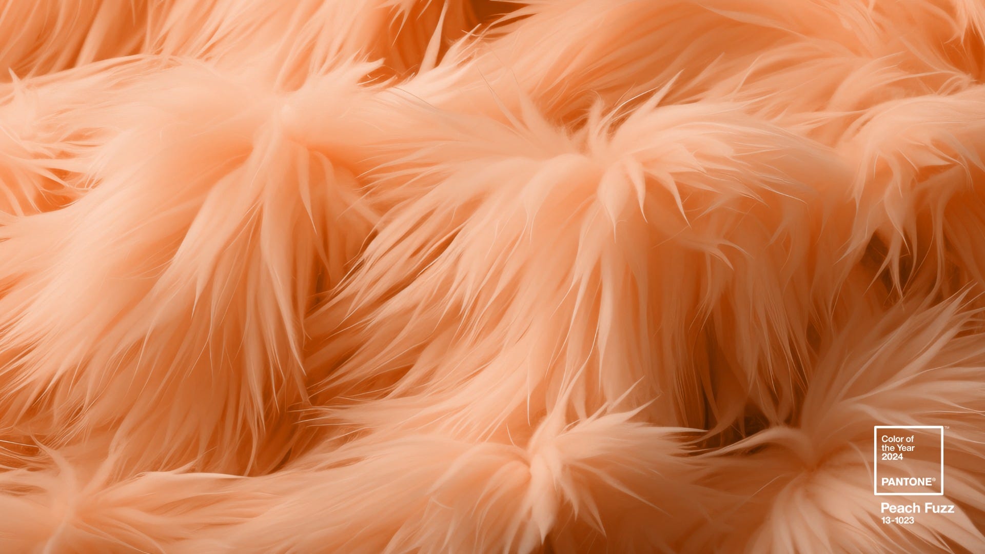 Pantone® Colour of the Year 2024 - Peach Fuzz | Aussie Soap Supplies Blog